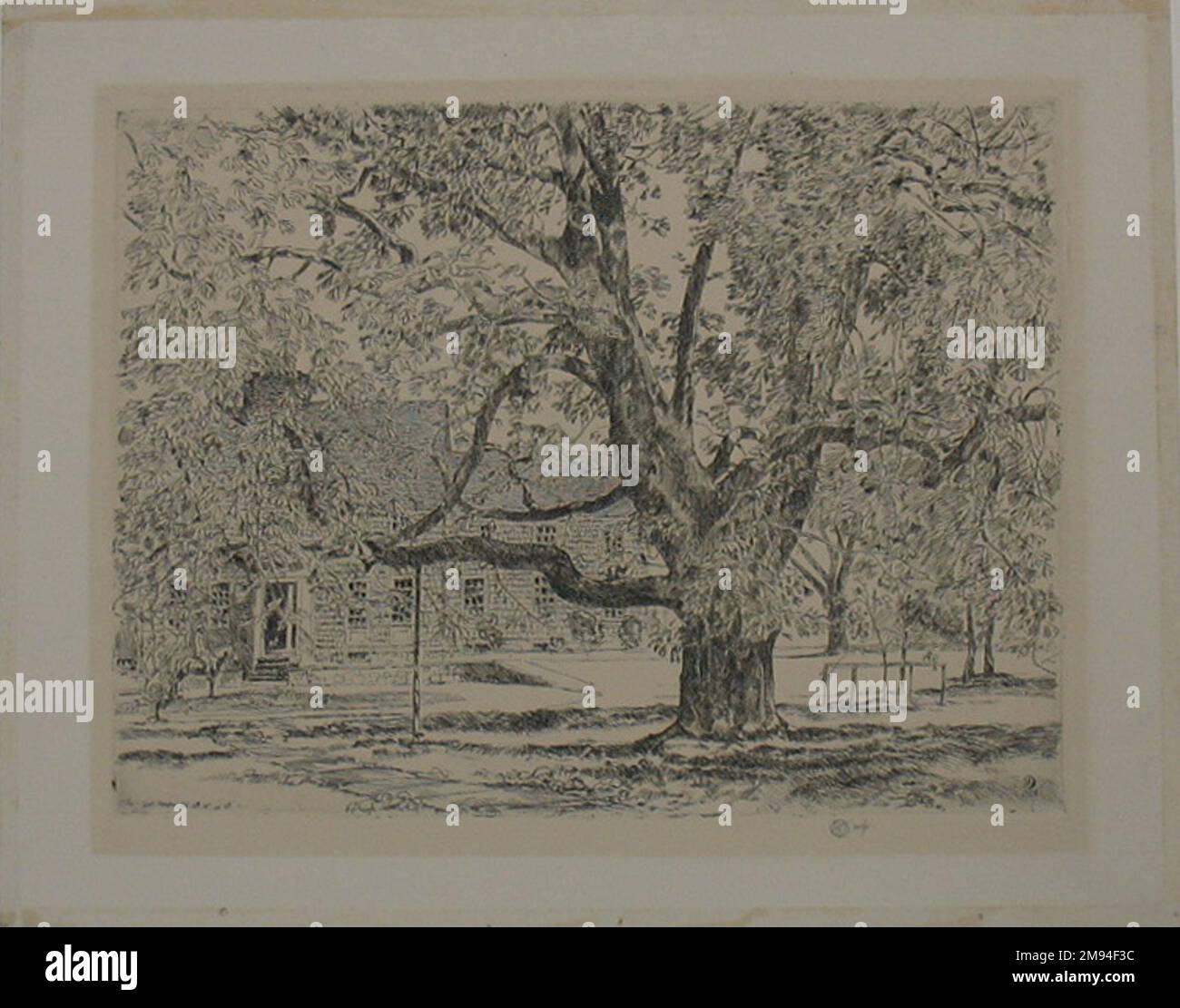 The Big Horse Chestnut Tree, Easthampton Frederick Childe Hassam ...