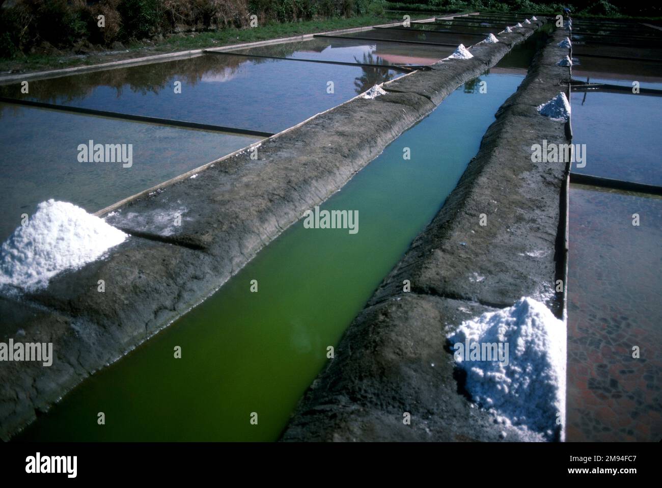 Sea salt farming in the Phillipines Stock Photo - Alamy