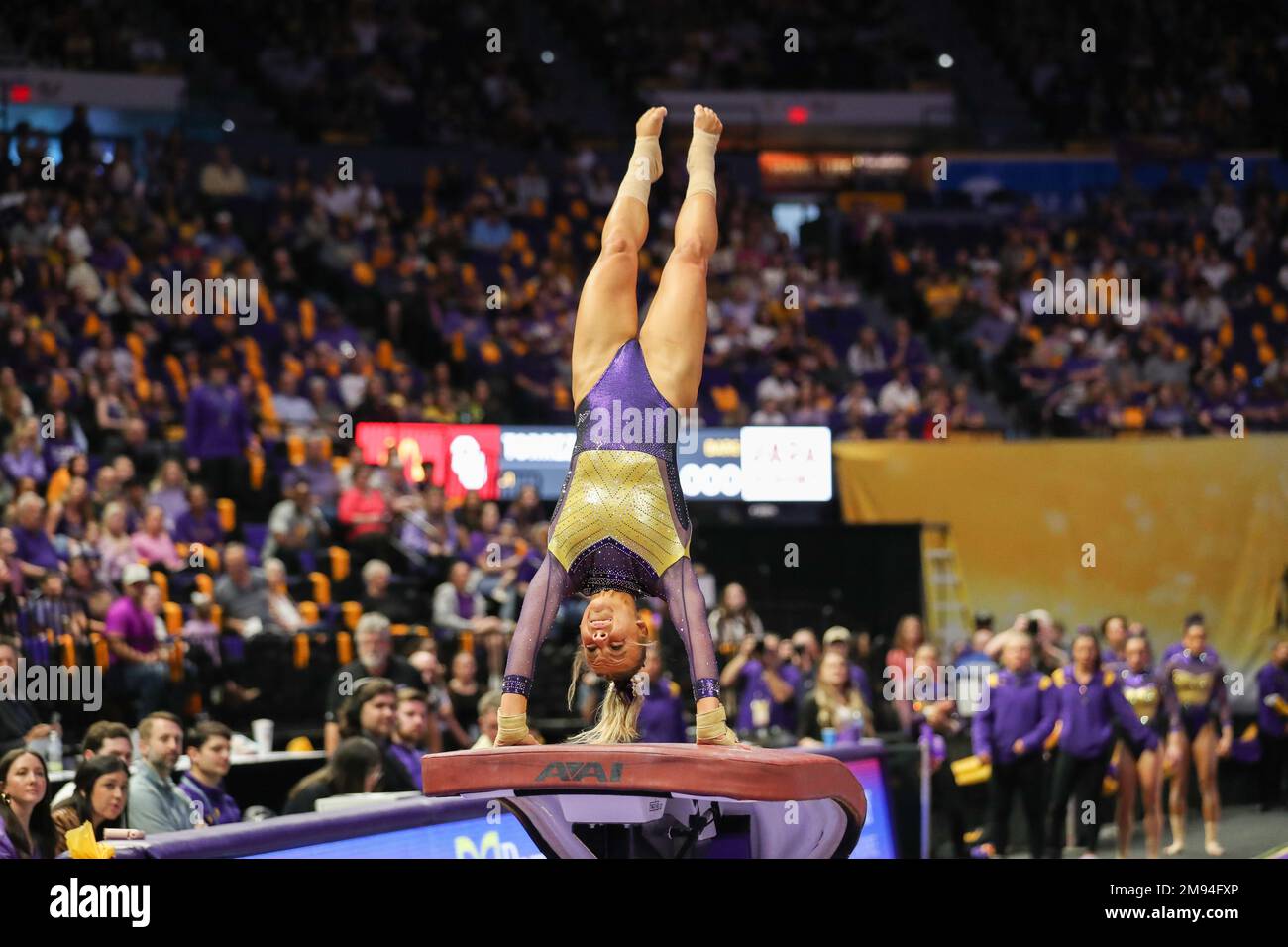Baton Rouge, LA, USA. 16th Jan, 2023. LSU's Chase Brock leaps off the ...