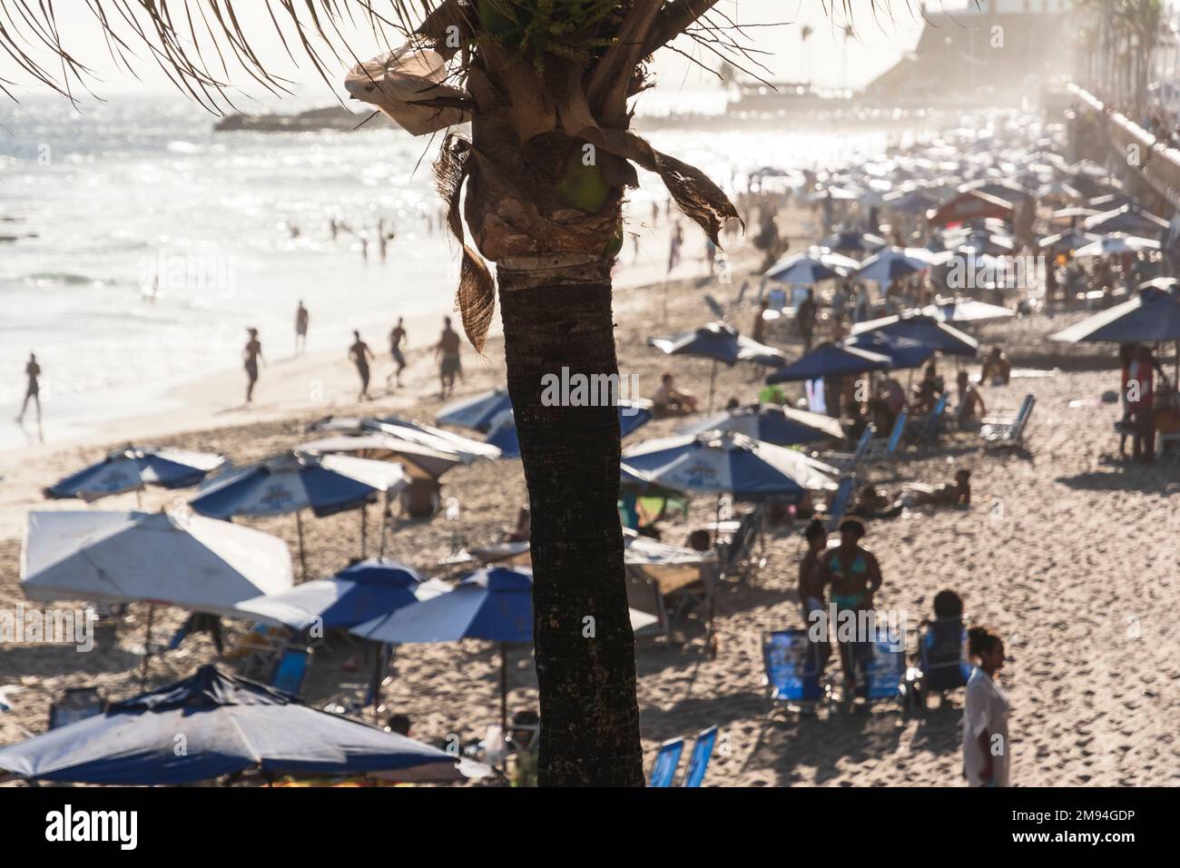 A crowd resting at the sandy Farol da Barra beach Stock Photo - Alamy