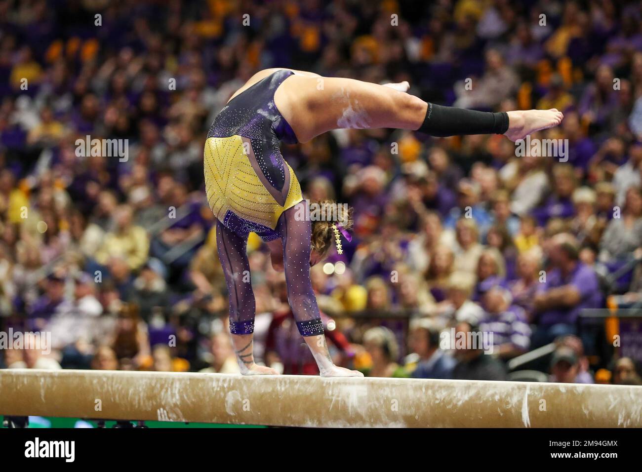Baton Rouge, LA, USA. 16th Jan, 2023. LSU's KJ Johnson competes on the ...