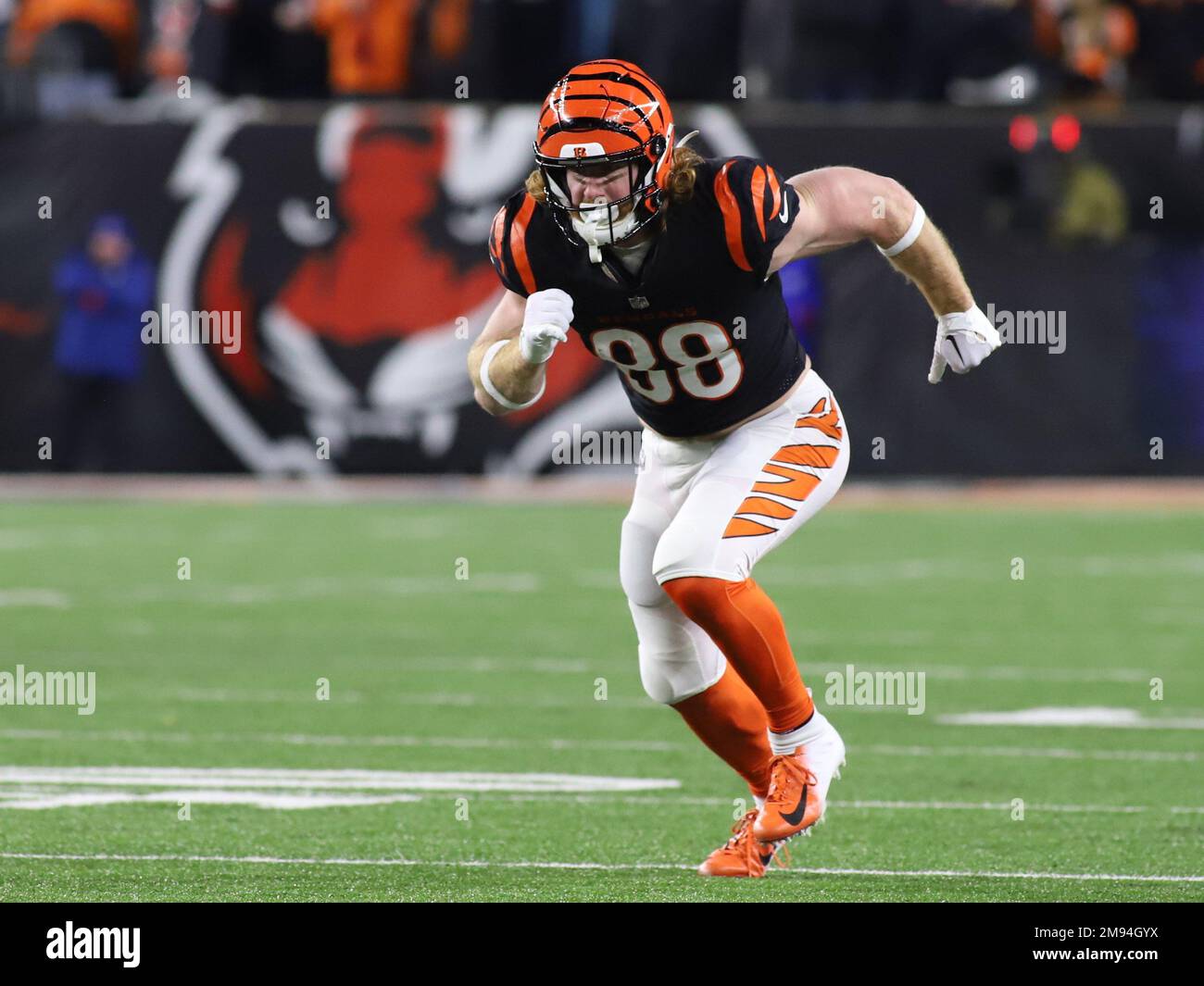 Hayden hurst bengals hi-res stock photography and images - Alamy