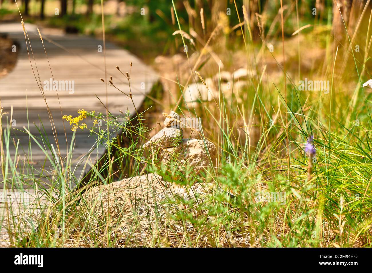 The road to the face of the goddess Yanzhima on a clear summer day ...