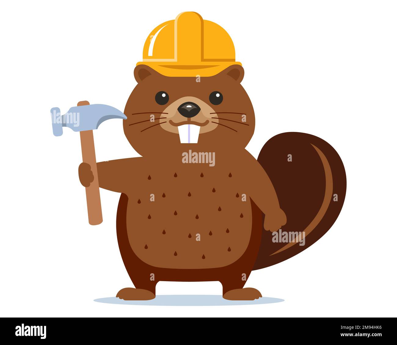 Builder beaver in hard hi-res stock photography and images - Alamy
