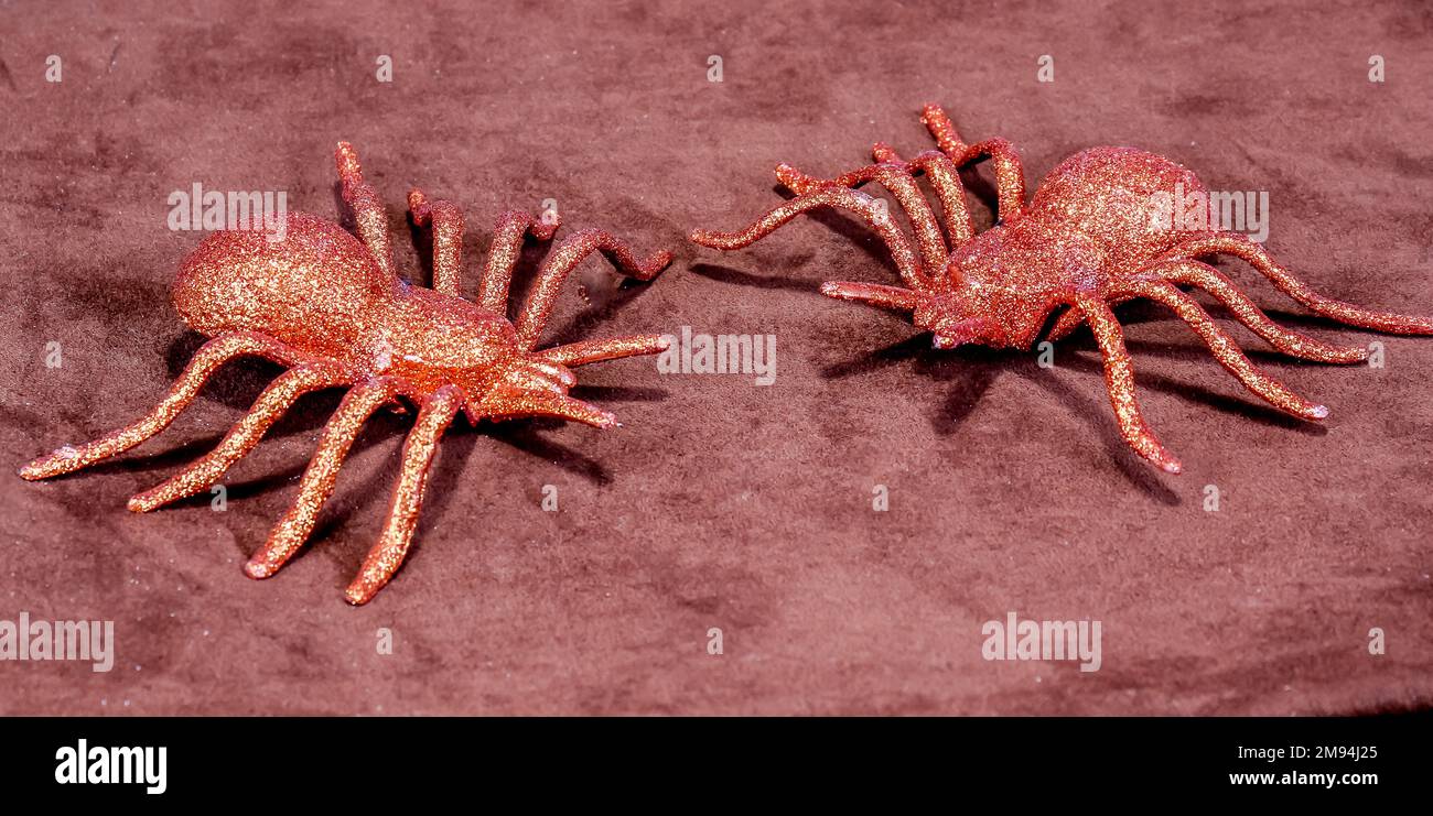 Fake spiders hi-res stock photography and images - Alamy