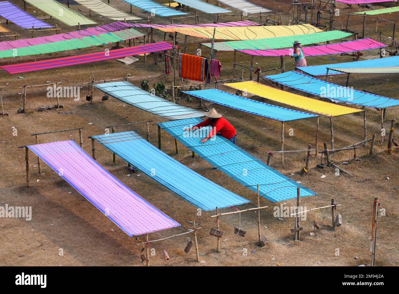 Shantipur, India. 14th Jan, 2023. A view of colourful Indian sarees drying under sun. The saree ...