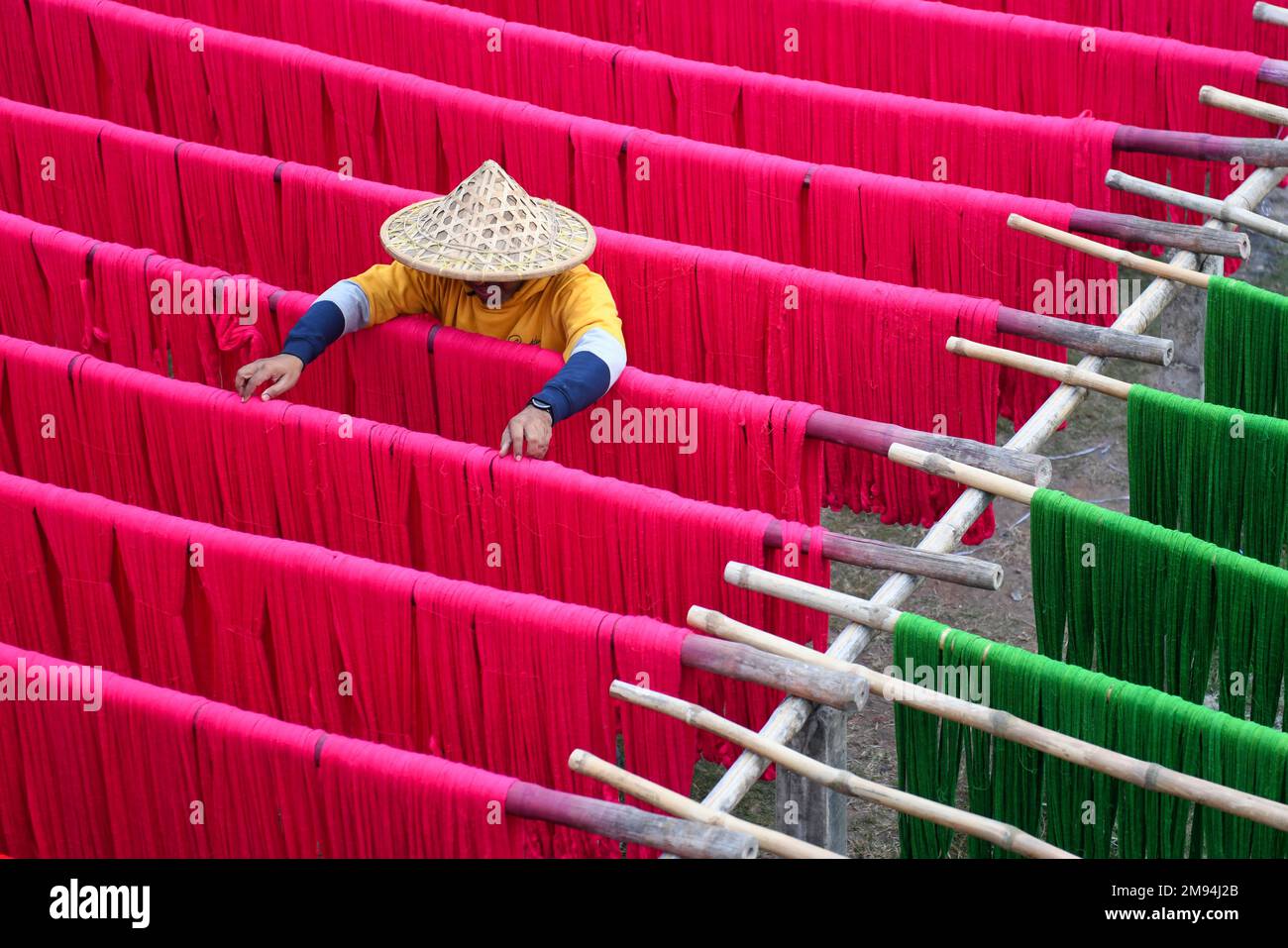 Shantipur, India. 14th Jan, 2023. A weaver rinses the colourful Jute ...