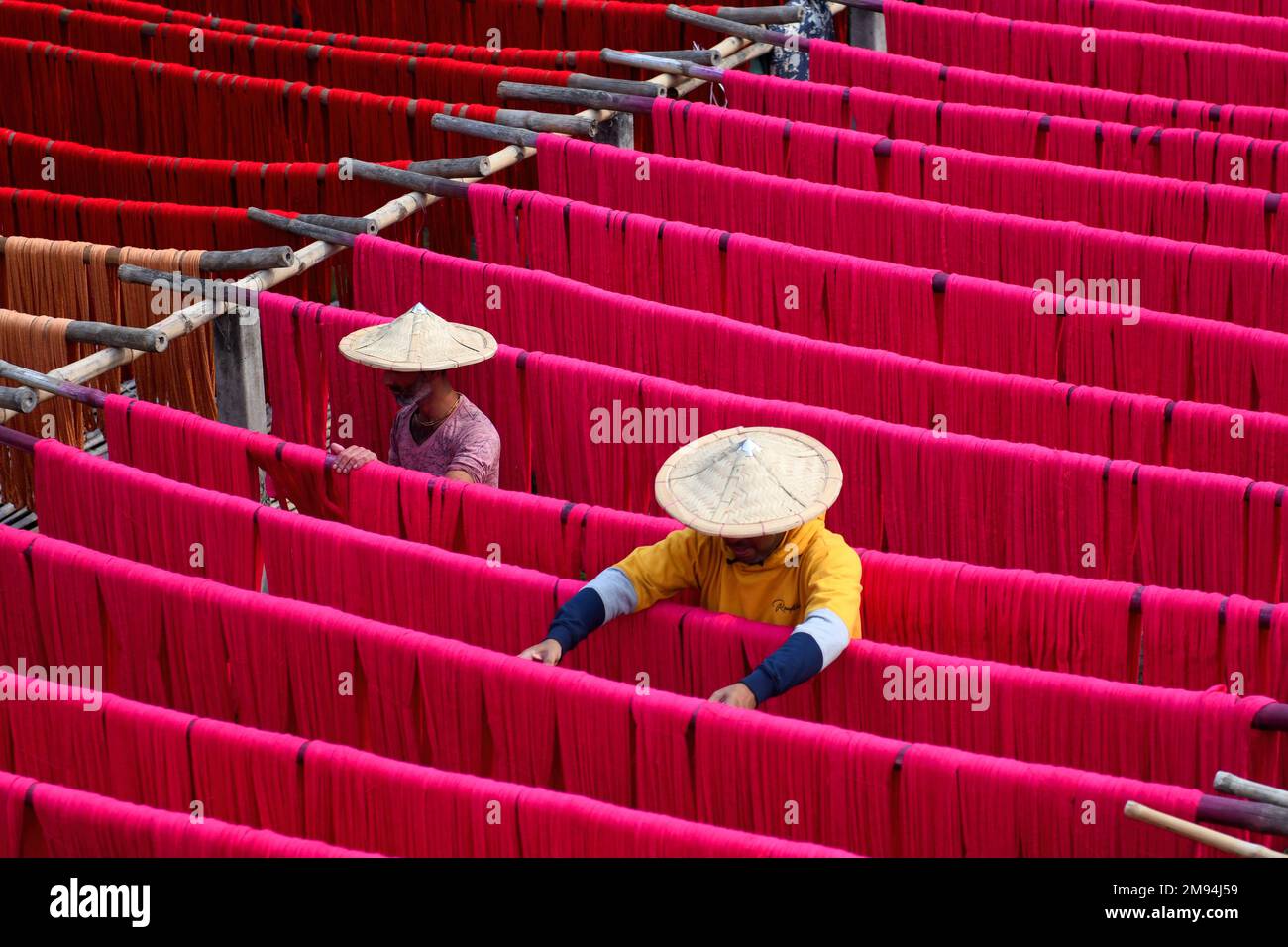 Weavers rinse colourful Jute fiber to dry under sun which will be used ...