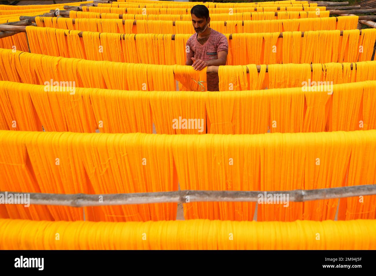 Shantipur, India. 14th Jan, 2023. A weaver rinses the colourful Jute ...