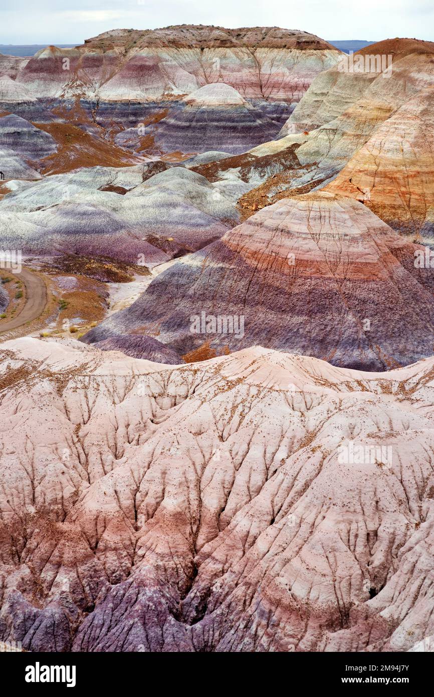 Striped purple sandstone formations of Blue Mesa badlands in Petrified ...