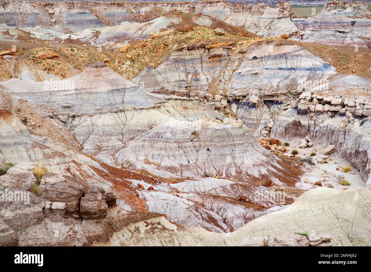 Striped purple sandstone formations of Blue Mesa badlands in Petrified ...