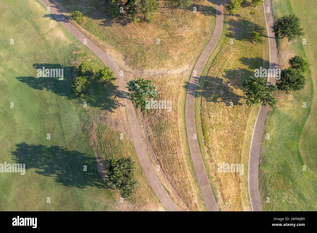 Top aerial view of beautiful park, green zone. Birds eye and drone ...