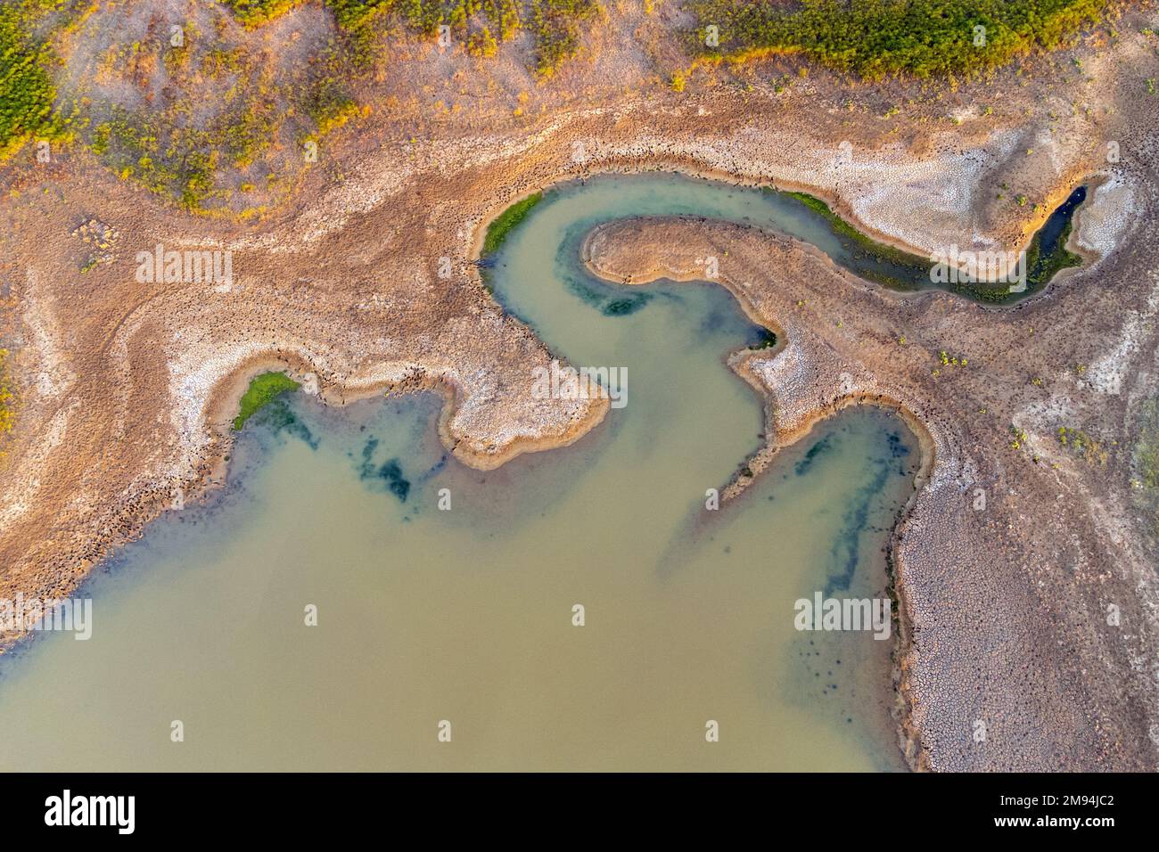 Drone top view of swamp. Swampy landscape. View of an marsh from height ...