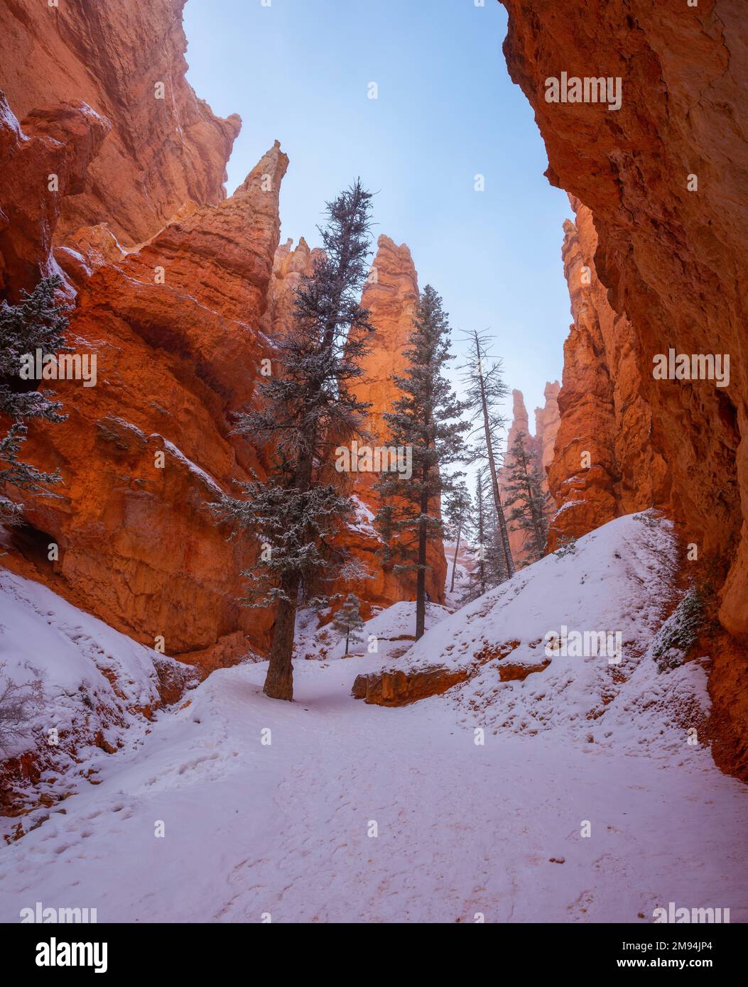 Bryce Canyon National Park Stock Photo - Alamy