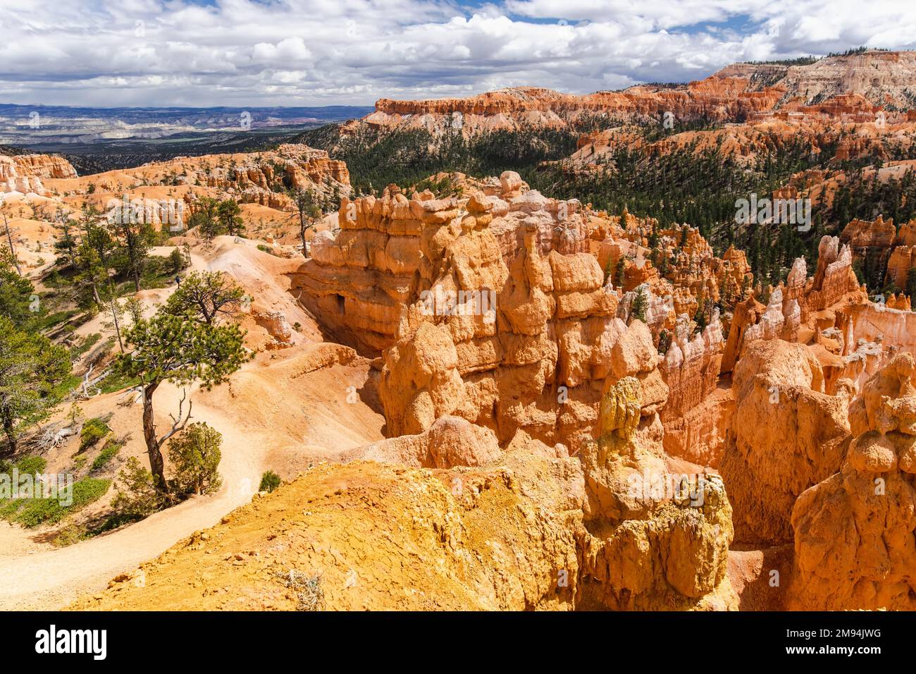 Scenic view of stunning red sandstone hoodoos in Bryce Canyon National ...