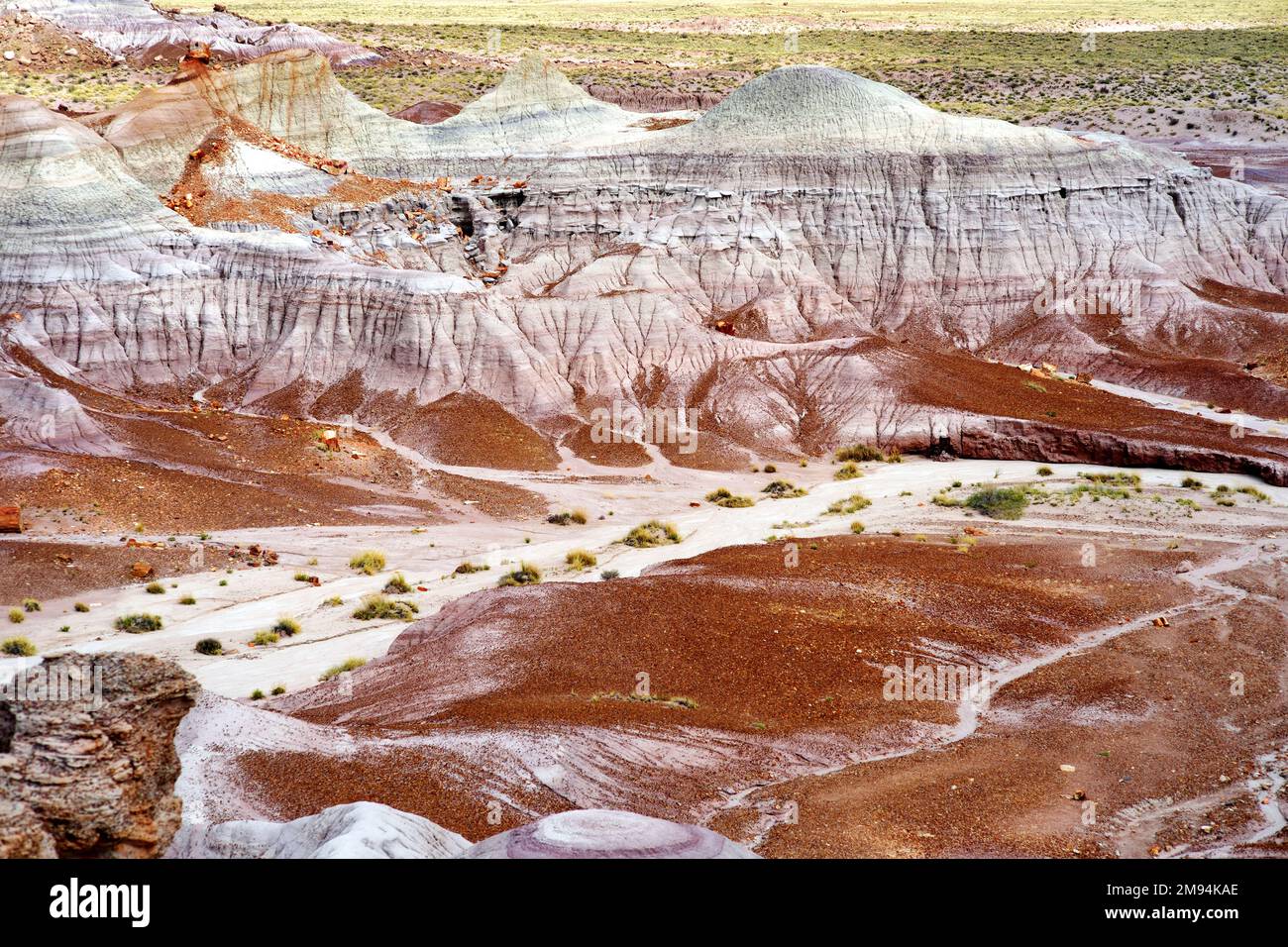 Striped purple sandstone formations of Blue Mesa badlands in Petrified ...
