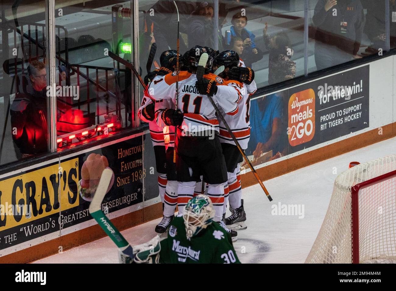 January 13, 2023: RIT Tigers players celebrate after scoring a goal in ...