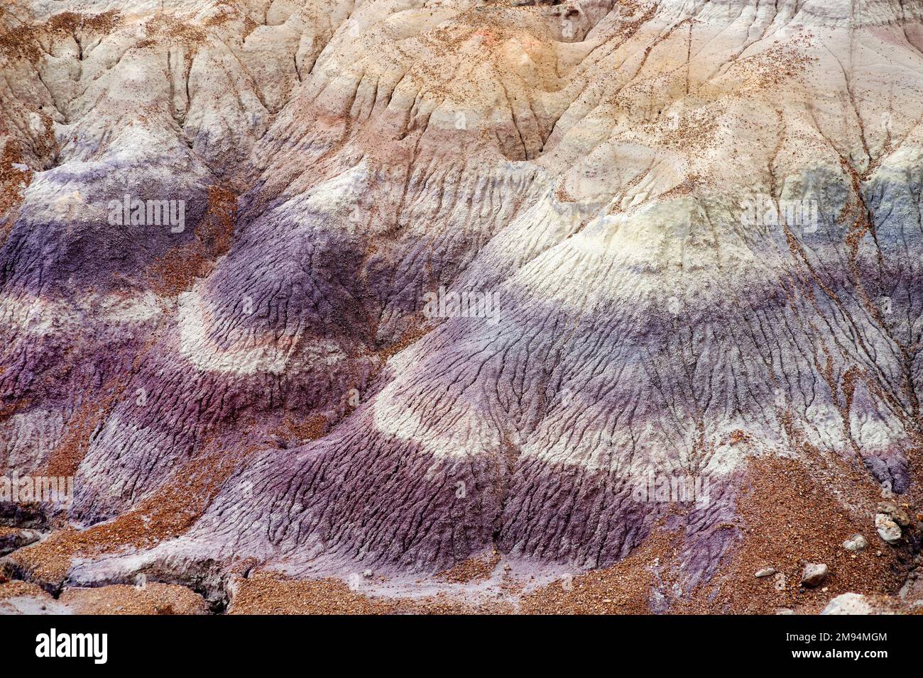 Striped purple sandstone formations of Blue Mesa badlands in Petrified ...