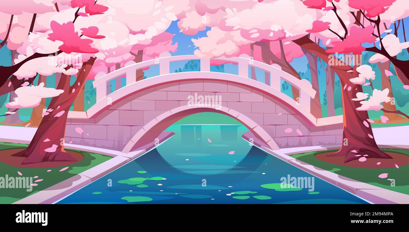 Japanese cherry garden with bridge and sakura blossom. Spring landscape ...