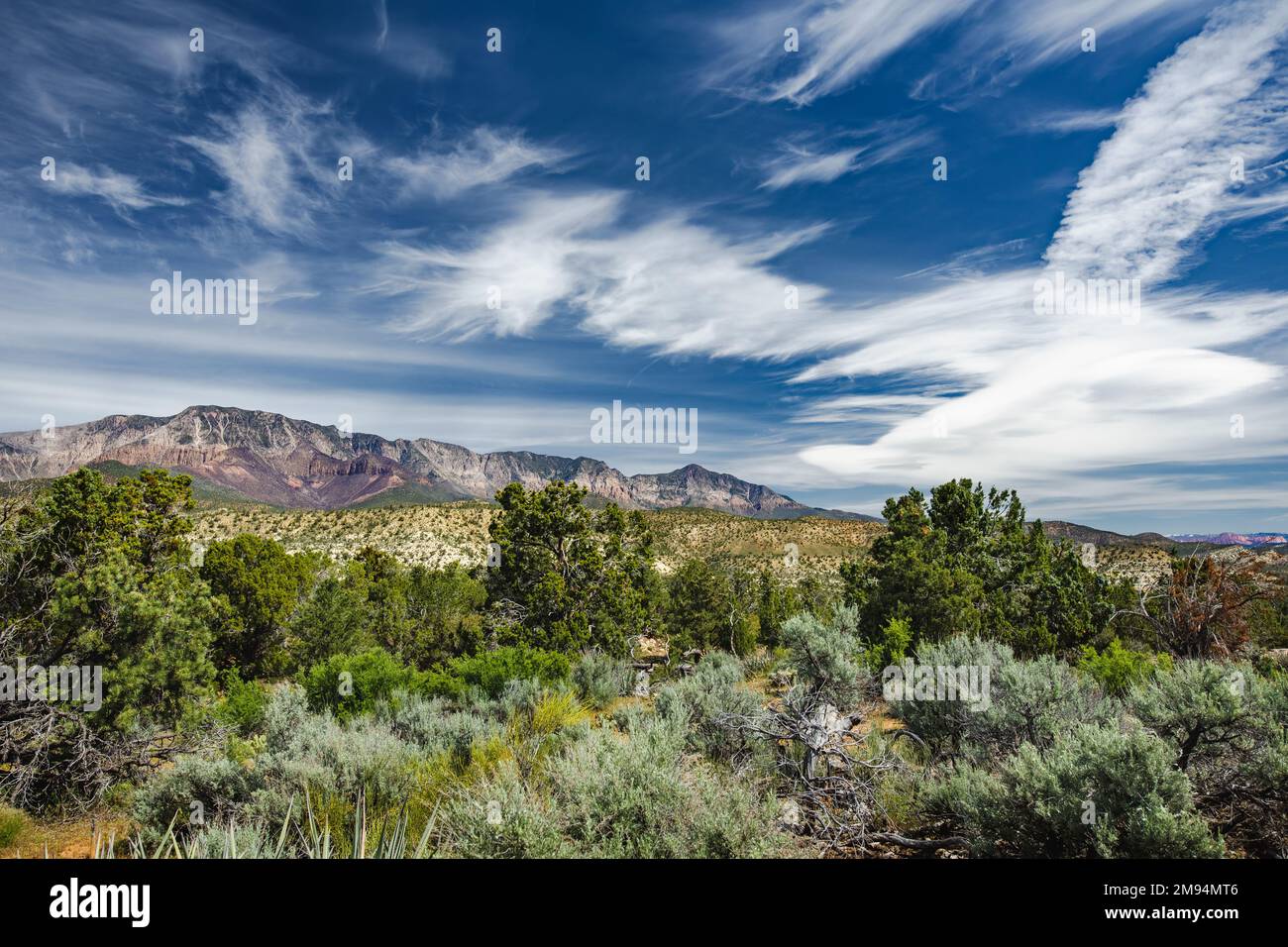 Dixie National Forest near Yant Flat sandstone formations in Utah, USA ...