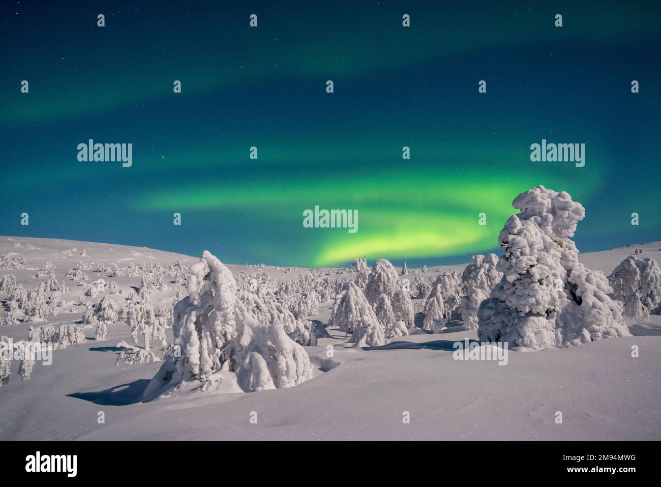 Northern Lights at Pallas-Yllästunturi National Park, Muonio, Lapland ...
