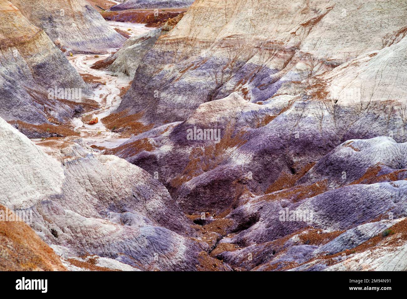 Striped purple sandstone formations of Blue Mesa badlands in Petrified ...