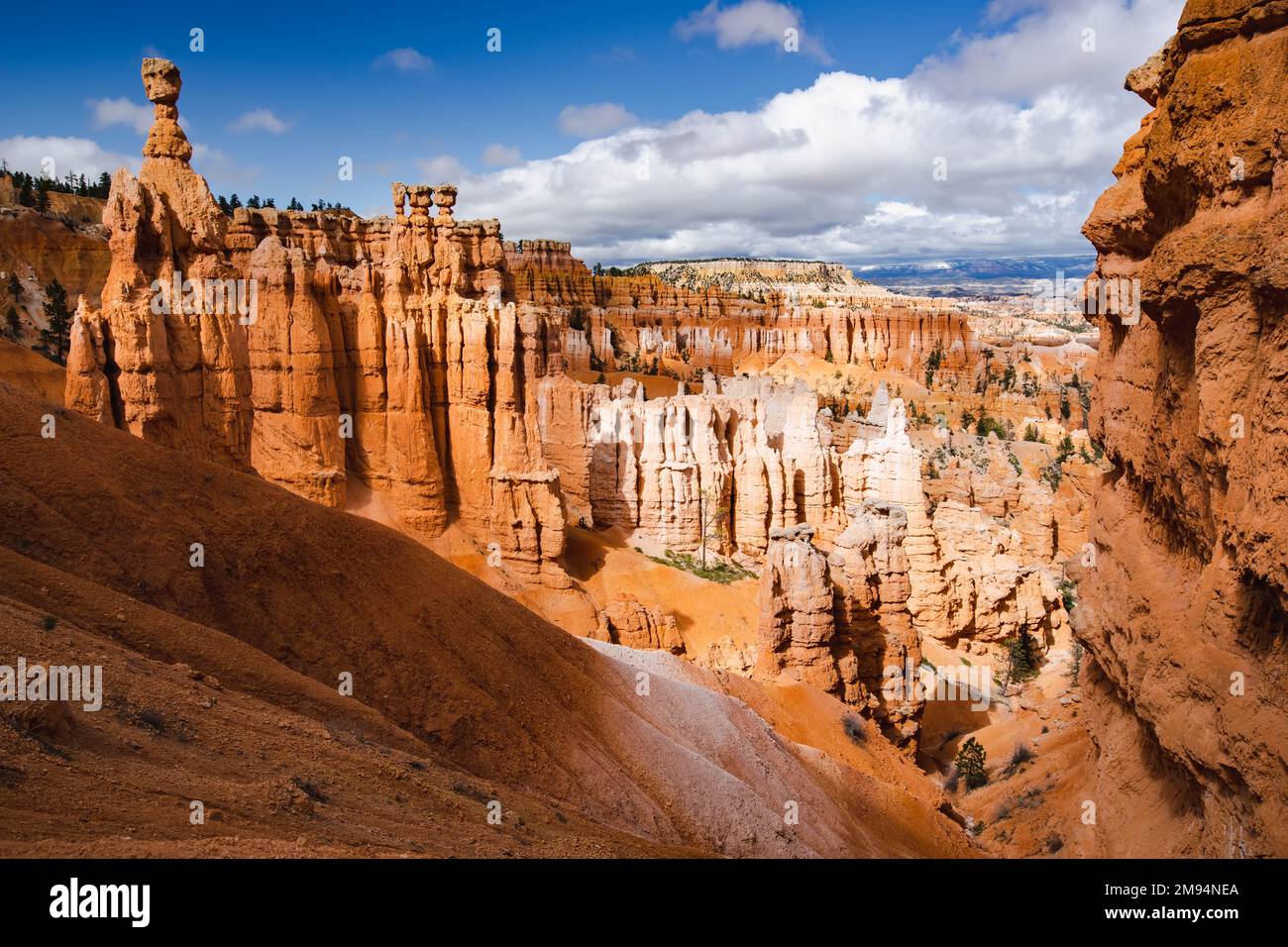 Scenic view of stunning red sandstone hoodoos in Bryce Canyon National ...