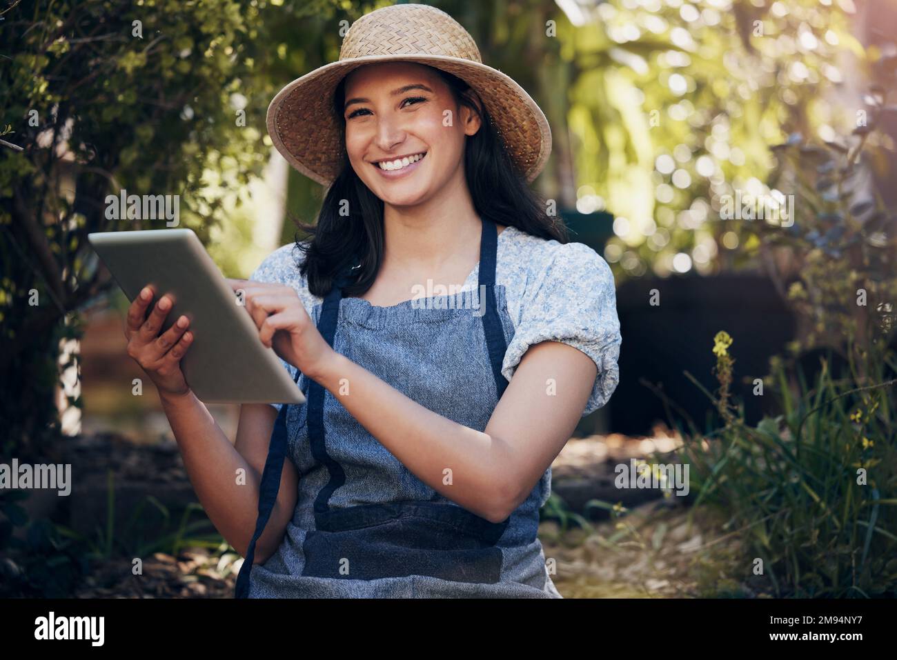 I would still plant my tree. a nursery owner using a tablet at work ...