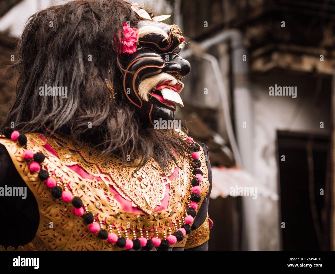 Traditional celebration ritual in Bali, Indonesia. Traditional Balinese ...