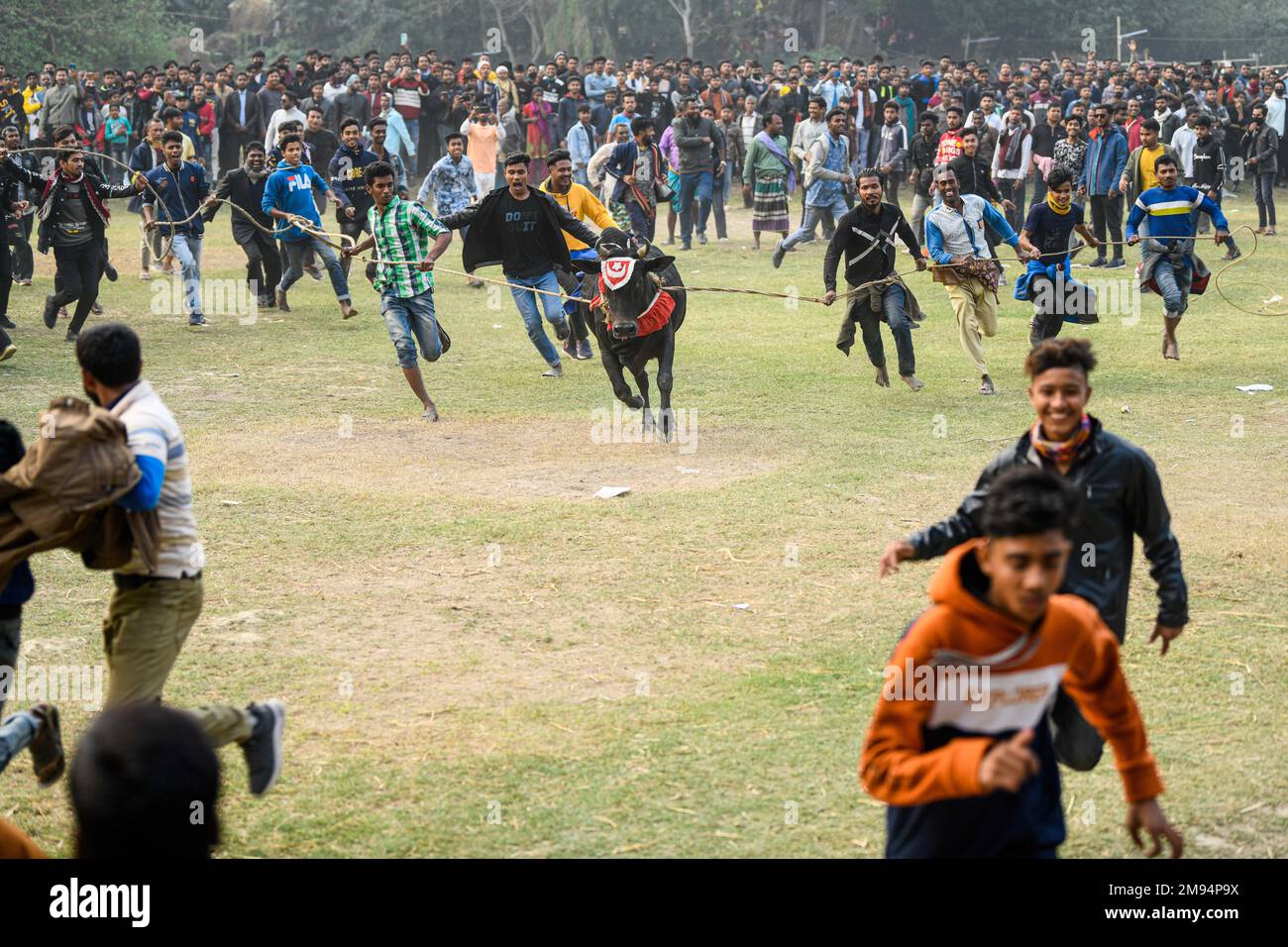Dhaka, Bangladesh. 16th Jan, 2023. Local people enjoy a traditional cow ...