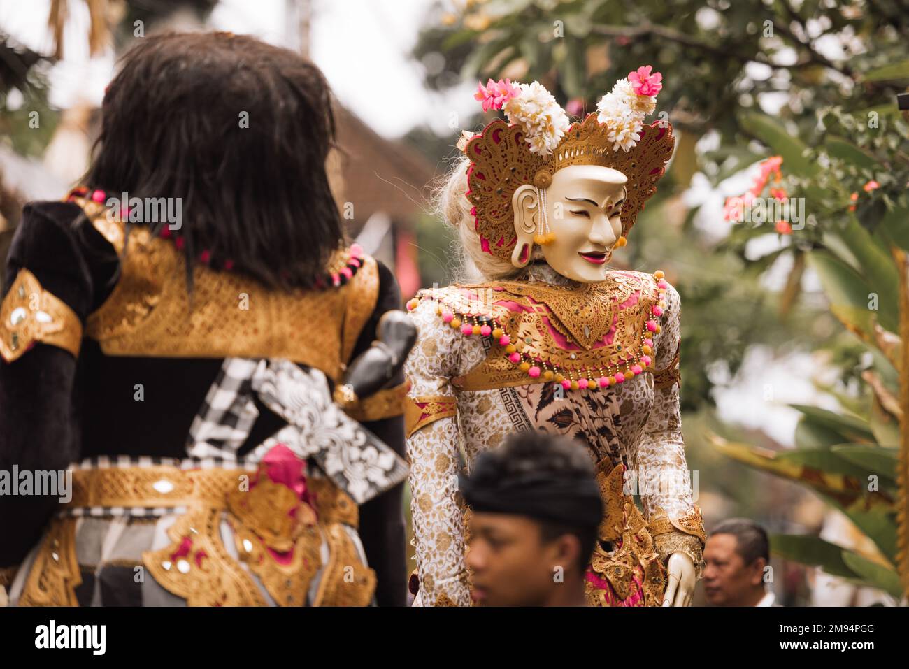 Traditional celebration ritual in Bali, Indonesia. Traditional Balinese ...