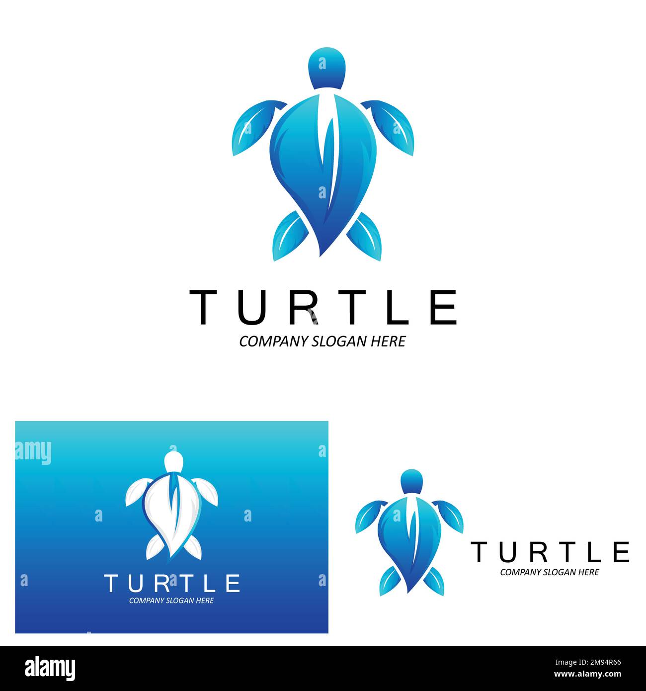 Animal sea turtle painting hi-res stock photography and images - Alamy