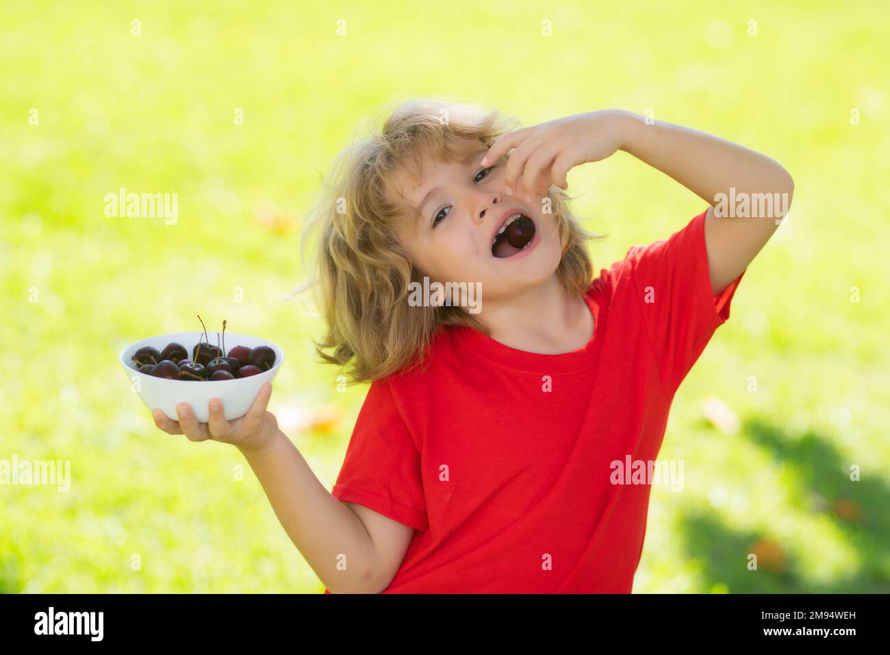 Child boy hold plate cherries in park. Cherry for kids. Summer ...