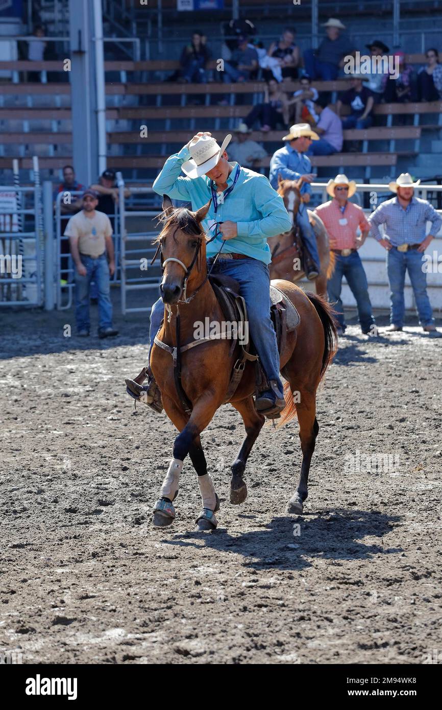 Rodeo rider hi-res stock photography and images - Alamy