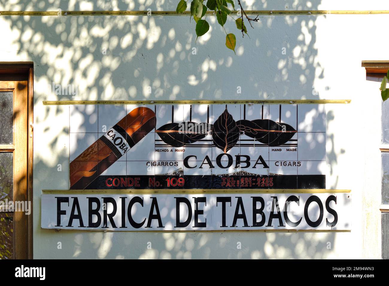 Logotipo De Caoba Ejido Caoba Branding By David Liceaga On Dribbble