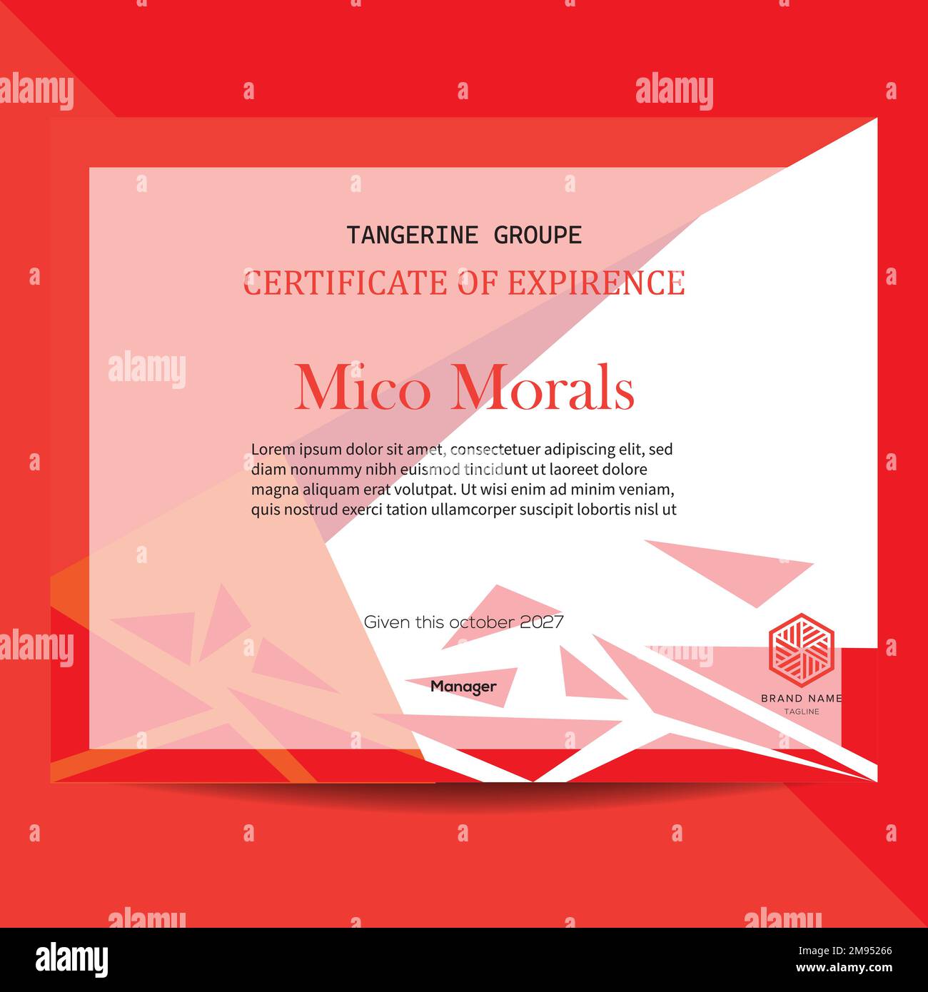 Modern and Creative experience letter template vector design Stock ...