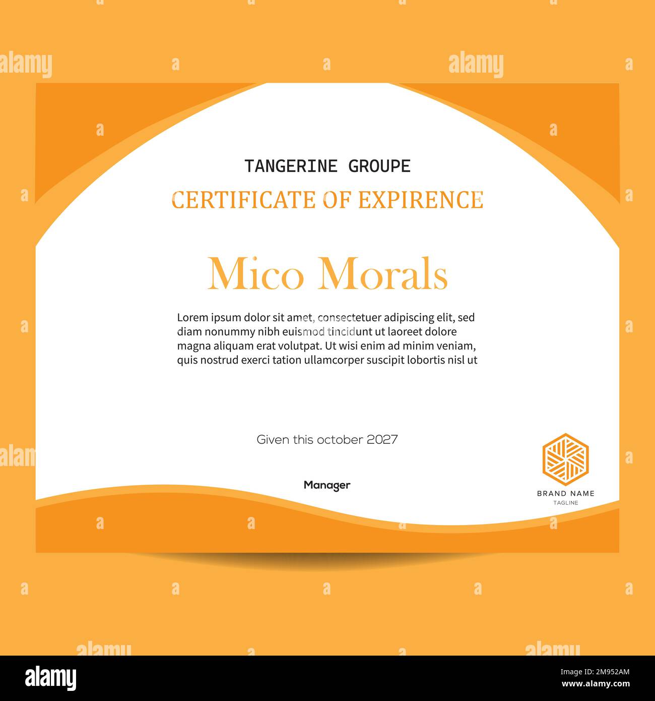 Template Of Experience Certificate
