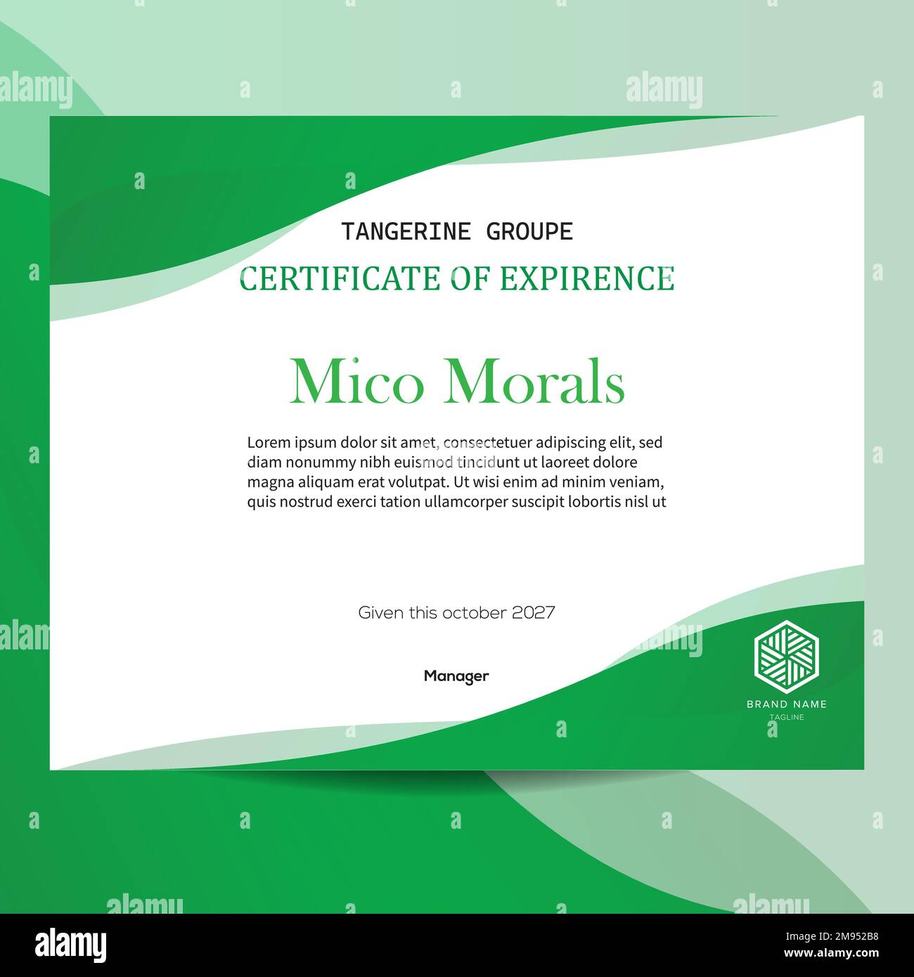 Modern and Creative experience letter template vector design Stock ...