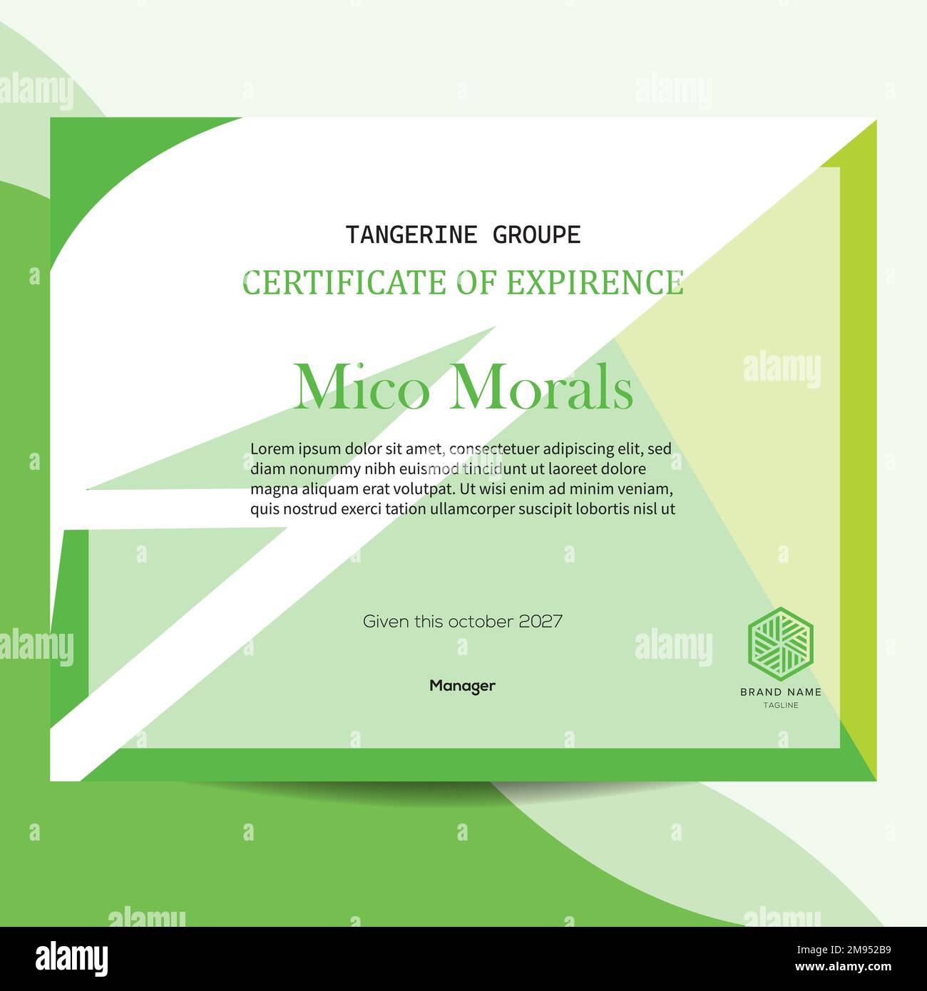 Modern And Creative Experience Letter Template Vector Design Stock