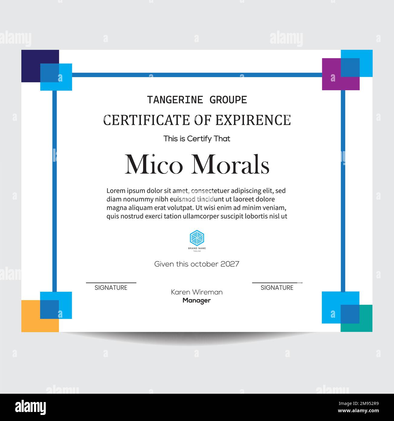 Modern and Creative experience letter template vector design Stock ...