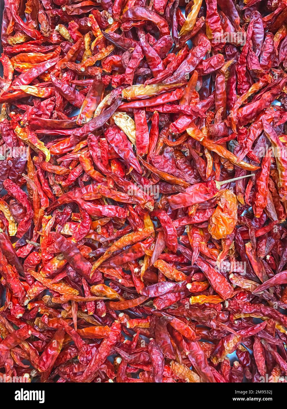 Dry red chili pepper background Stock Photo - Alamy