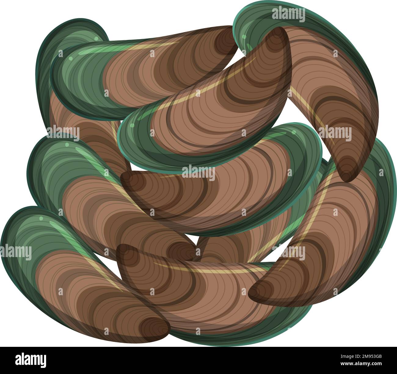 Alive mussel Stock Vector Images - Alamy