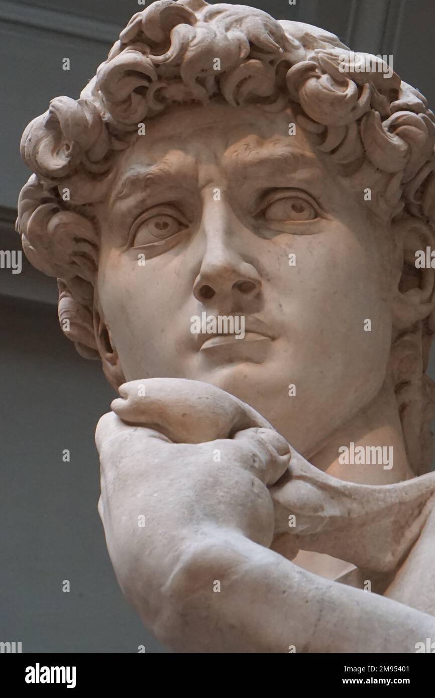 King David, Statue in Museum in Florence, Italy Stock Photo - Alamy King David, Statue in Museum in Florence, Italy Stock Photo - Alamy