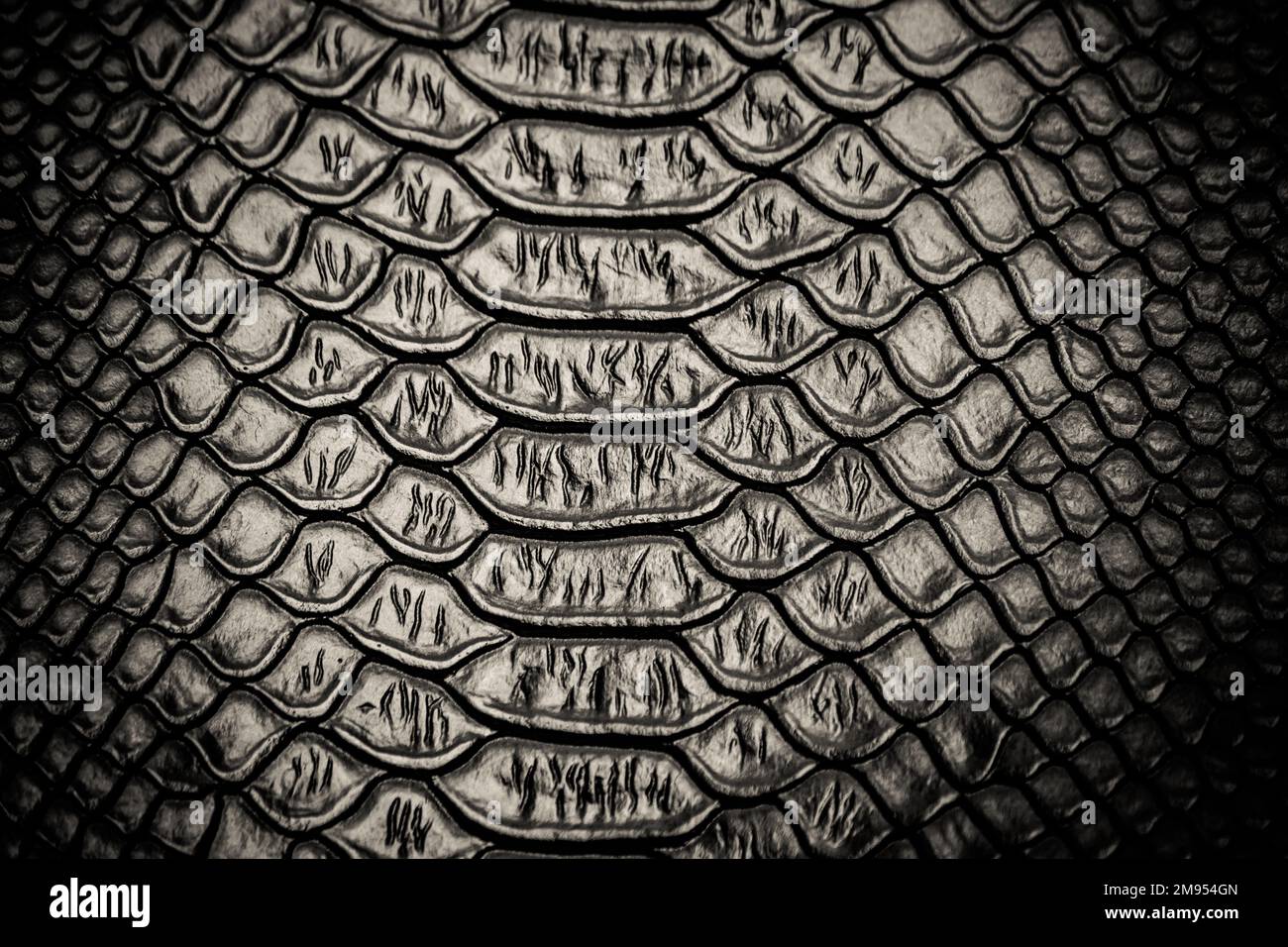 Black snake skin pattern texture background Stock Photo - Alamy