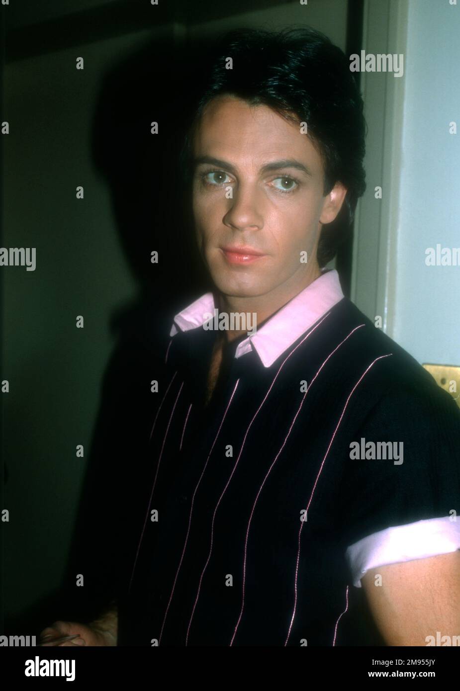 New York, New York, USA 19th February 1982 Actor/singer Rick ...