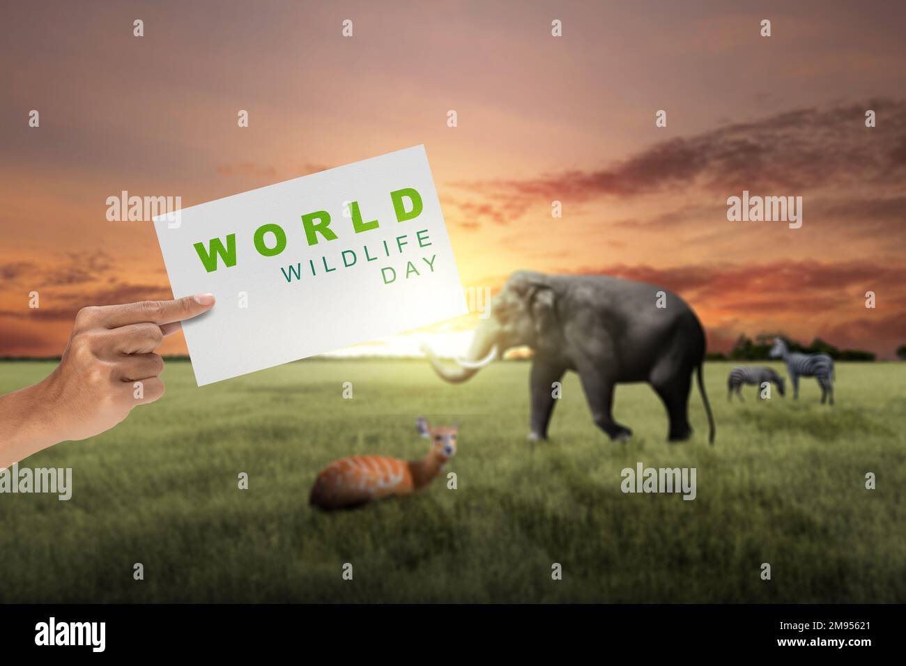 Human hand showing paper with World Wildlife Day message. World ...