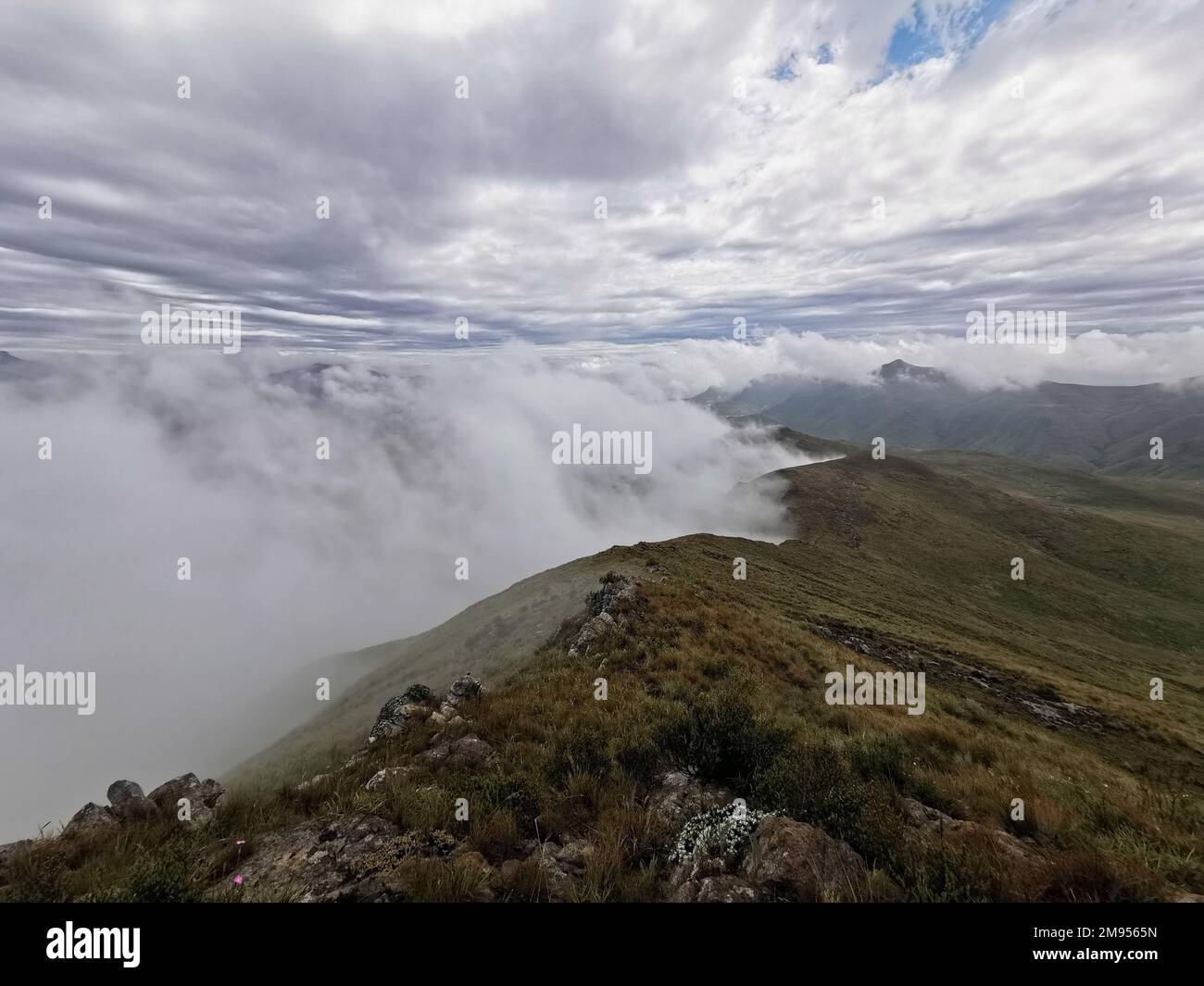 An aerial view of mountain landscape with growing grass Stock Photo - Alamy