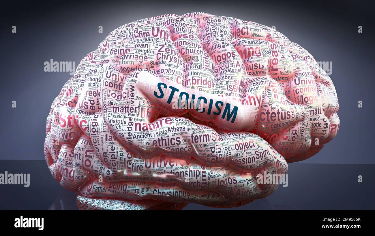 Stoicism In Human Brain Hundreds Of Crucial Terms Related To Stoicism Projected Onto A Cortex