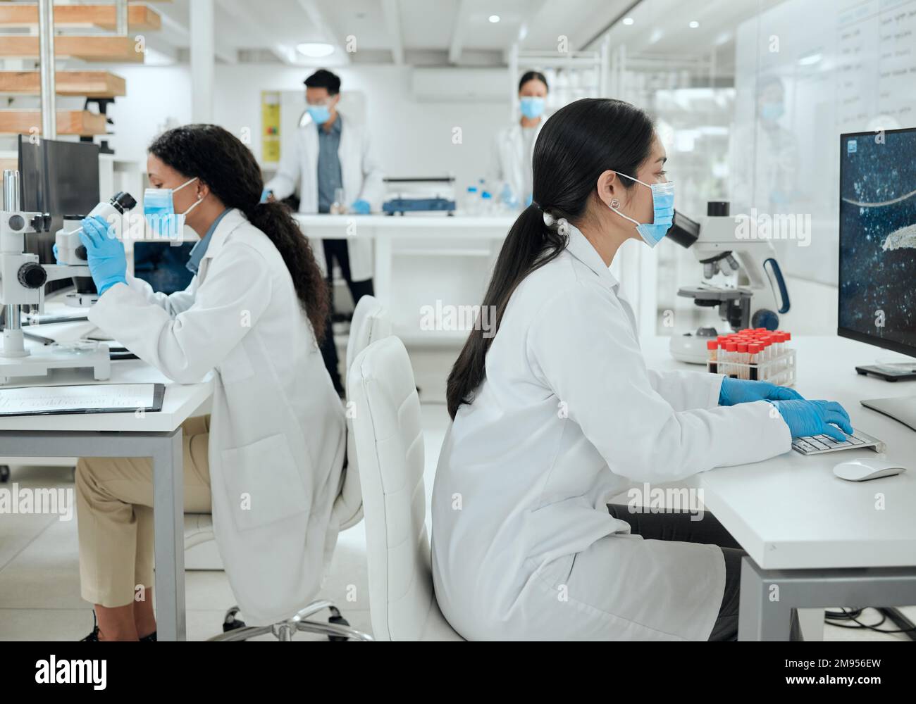 Separate but together in the zone. two female scientists working together in the lab Stock Photo ...