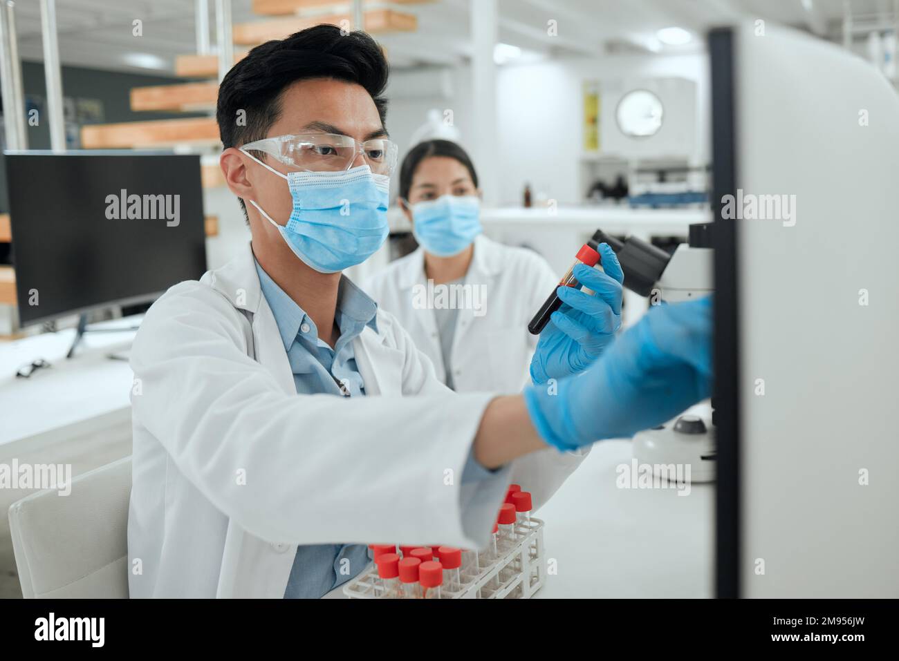 Two minds are better than one. a young scientist reviewing a sample in ...
